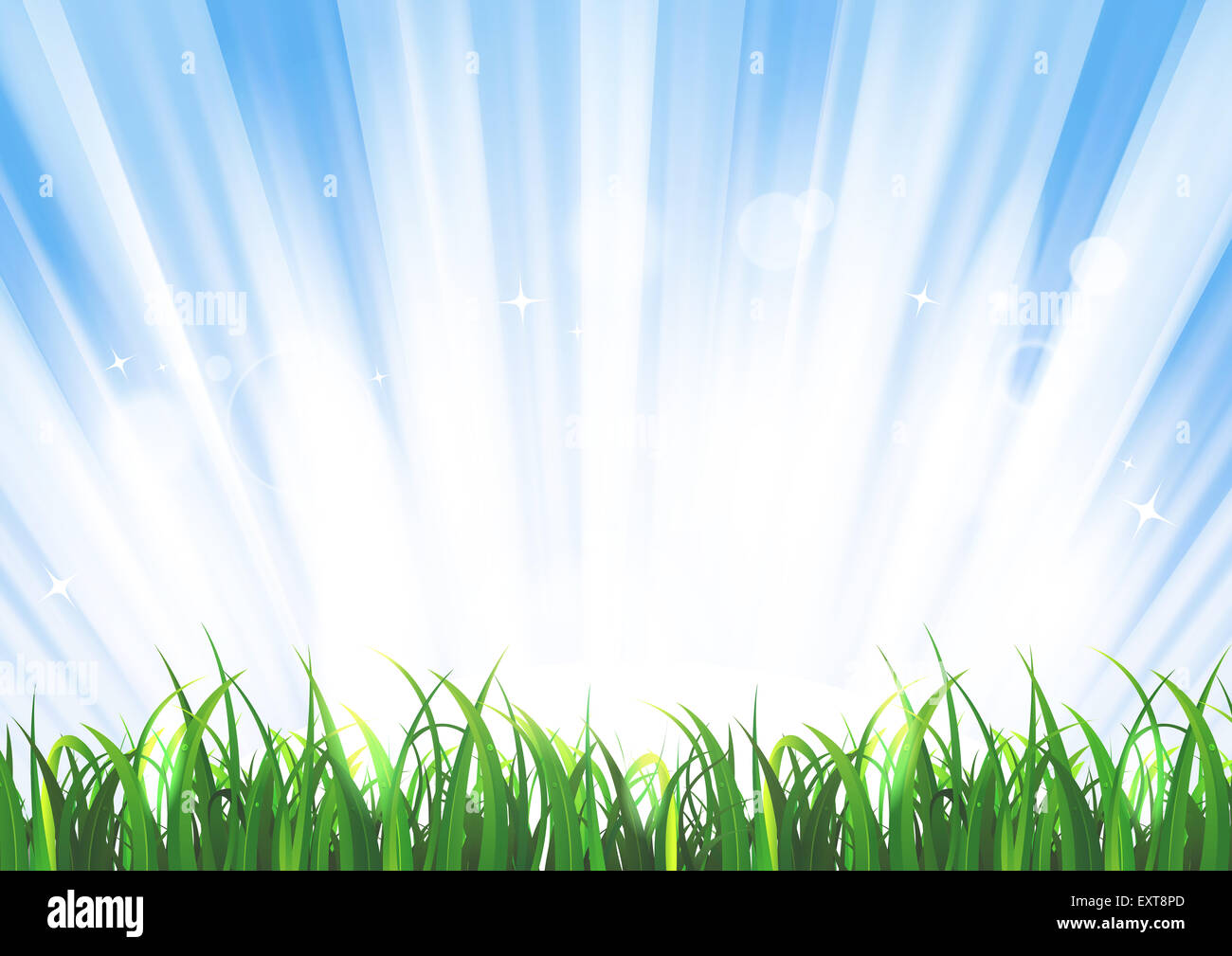 Rising leaves spring hi-res stock photography and images - Alamy