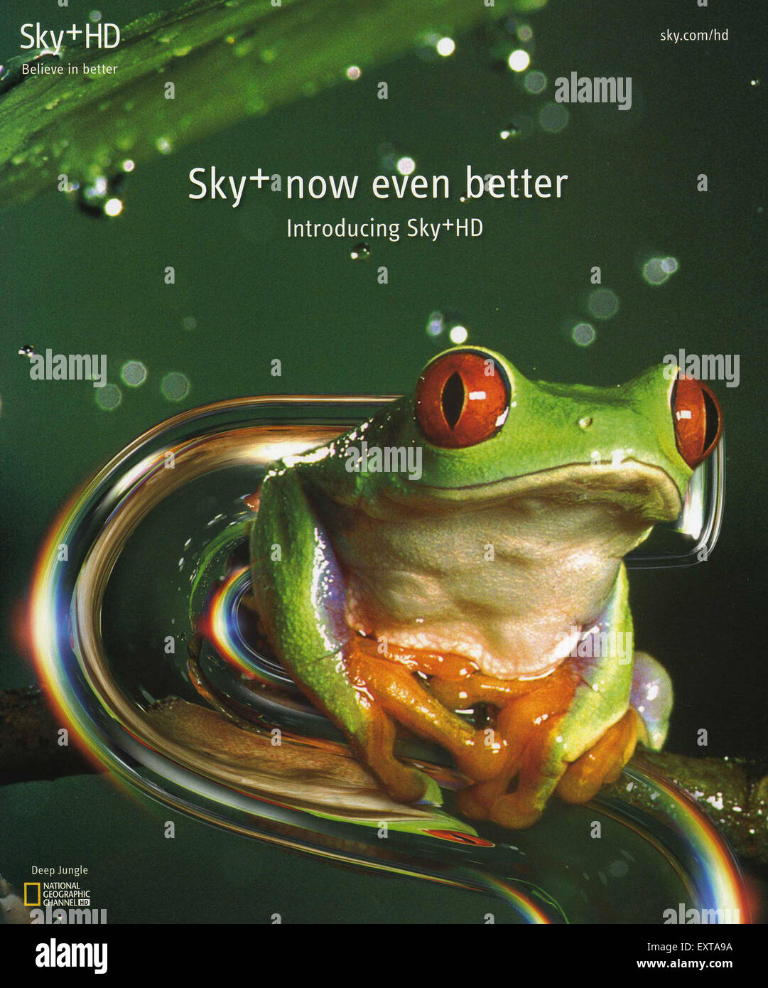 Hd animals hi-res stock photography and images - Alamy