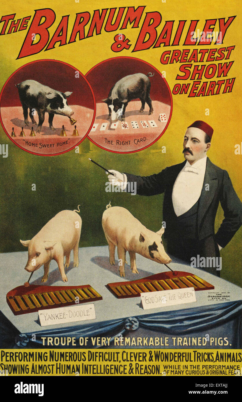 1900s Barnum & Bailey Poster Stock Photo - Alamy