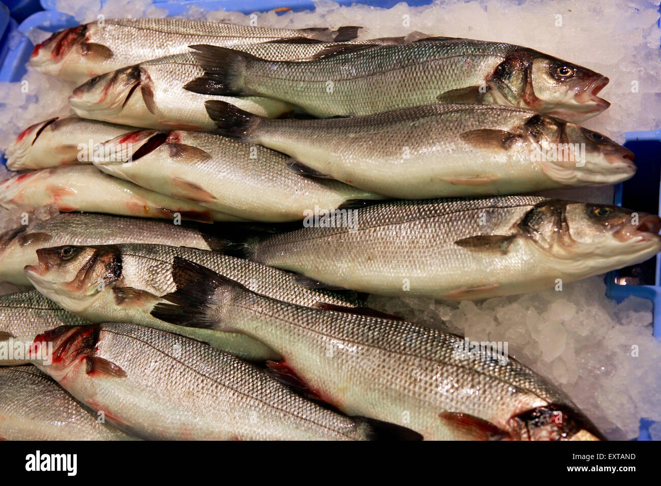 Fresh fish in ice at the market Stock Photo - Alamy