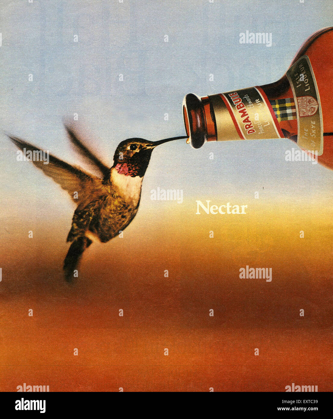 Alcohol uk advert 1980s hi-res stock photography and images - Alamy