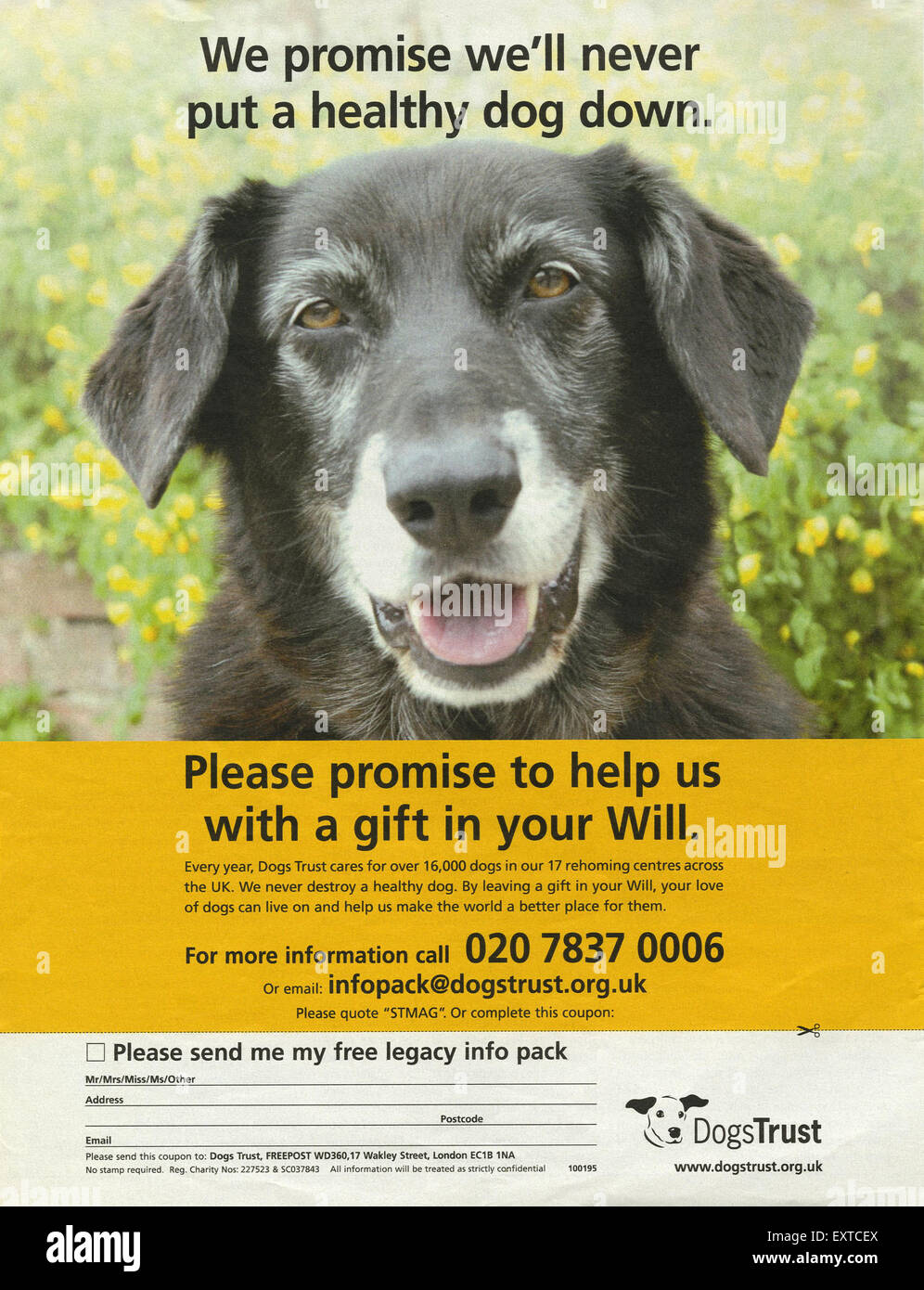 2000s UK Dogs Trust Magazine Advert Stock Photo - Alamy