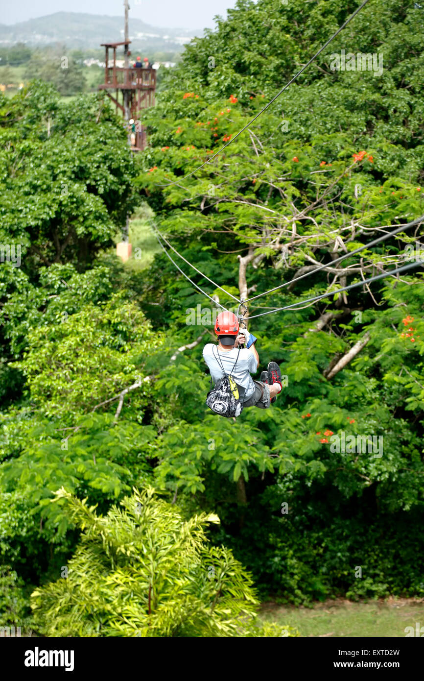 Man on zip line, Ecoquest Adventures & Tours, Hacienda Campo Rico ...