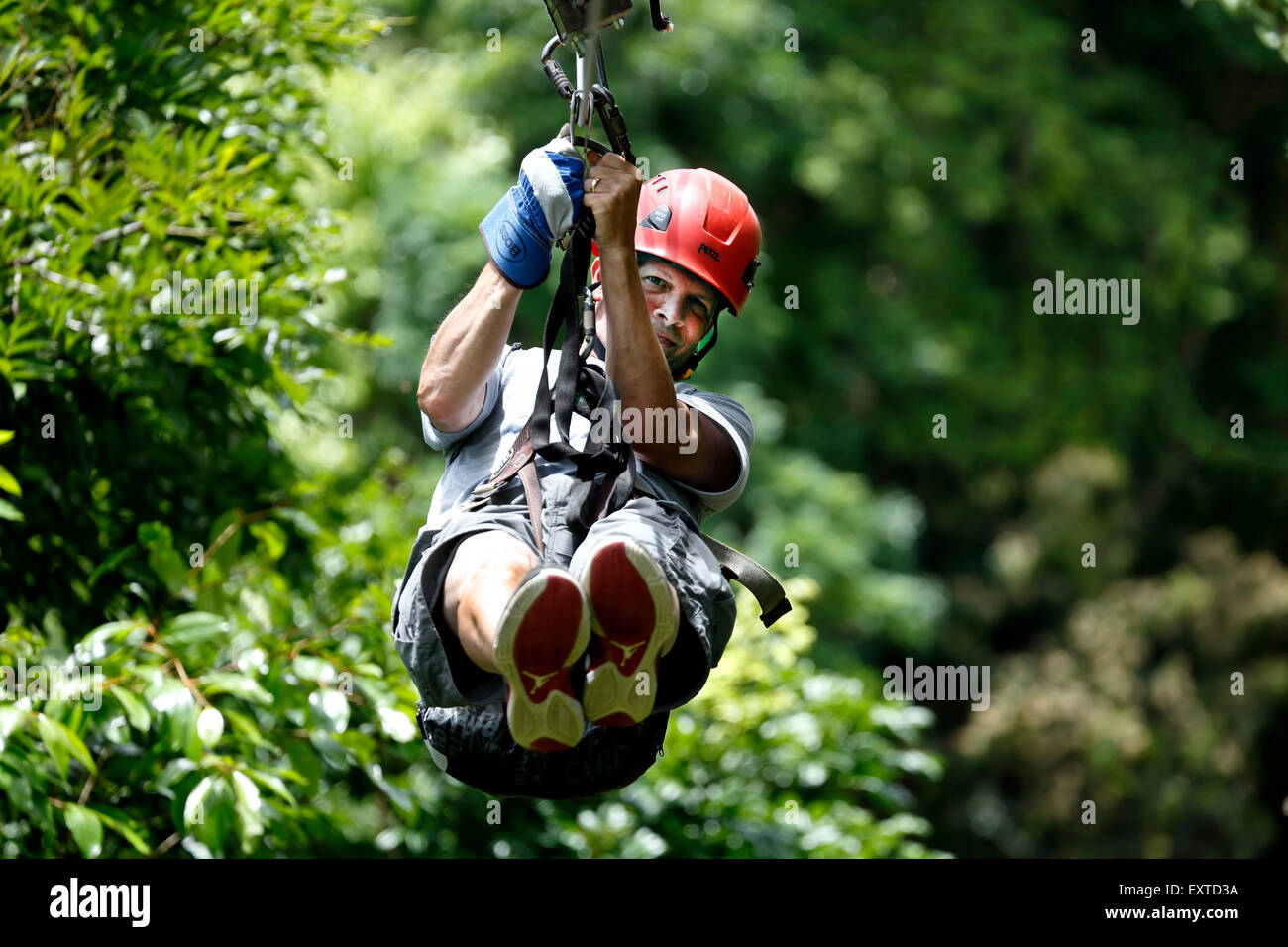 Man on zip line, Ecoquest Adventures & Tours, Hacienda Campo Rico ...