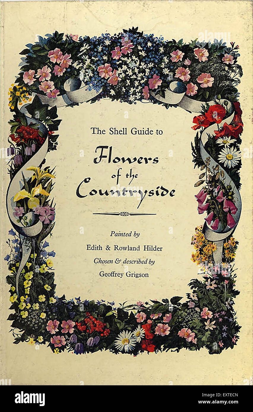 1960s UK Flowers of the Countryside Book Cover Stock Photo - Alamy