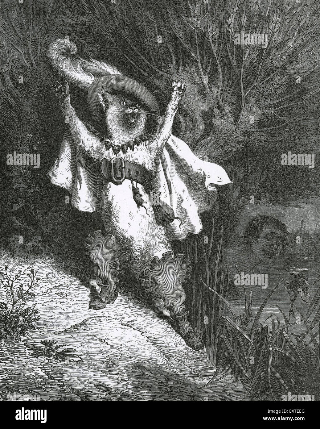 1860s France Puss in Boots Book Plate Stock Photo - Alamy