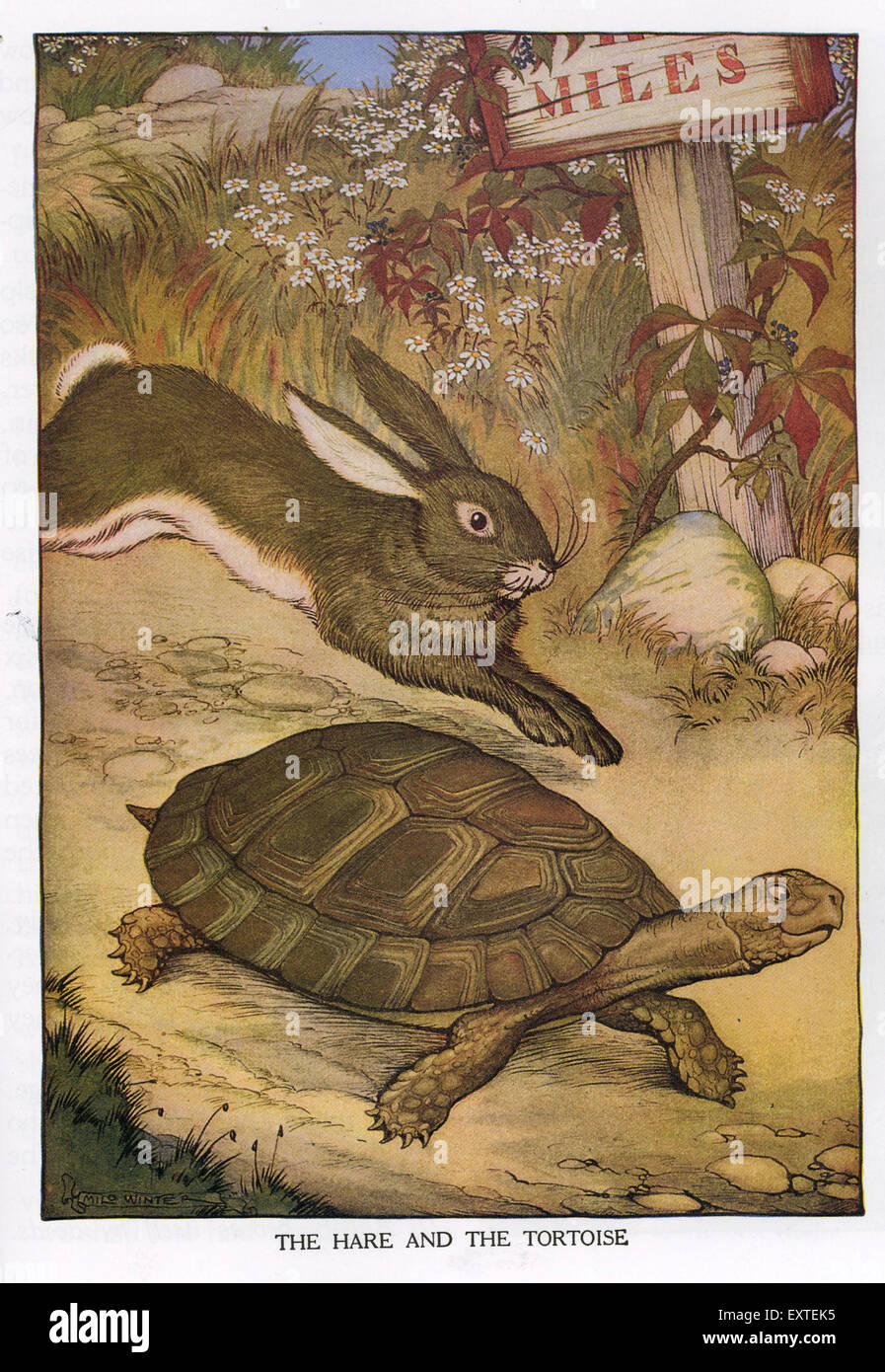 1910s USA Aesop's Fables Book Plate Stock Photo - Alamy