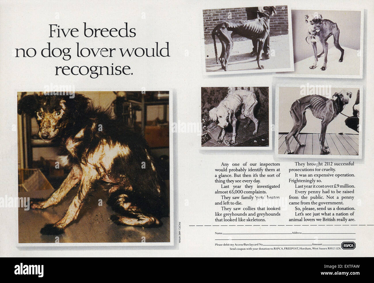1980s UK RSPCA Magazine Advert Stock Photo - Alamy