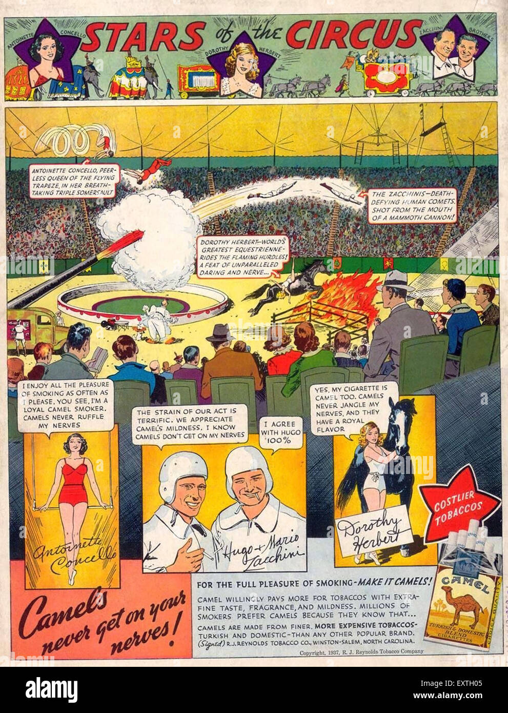 Circus Advert High Resolution Stock Photography and Images - Alamy