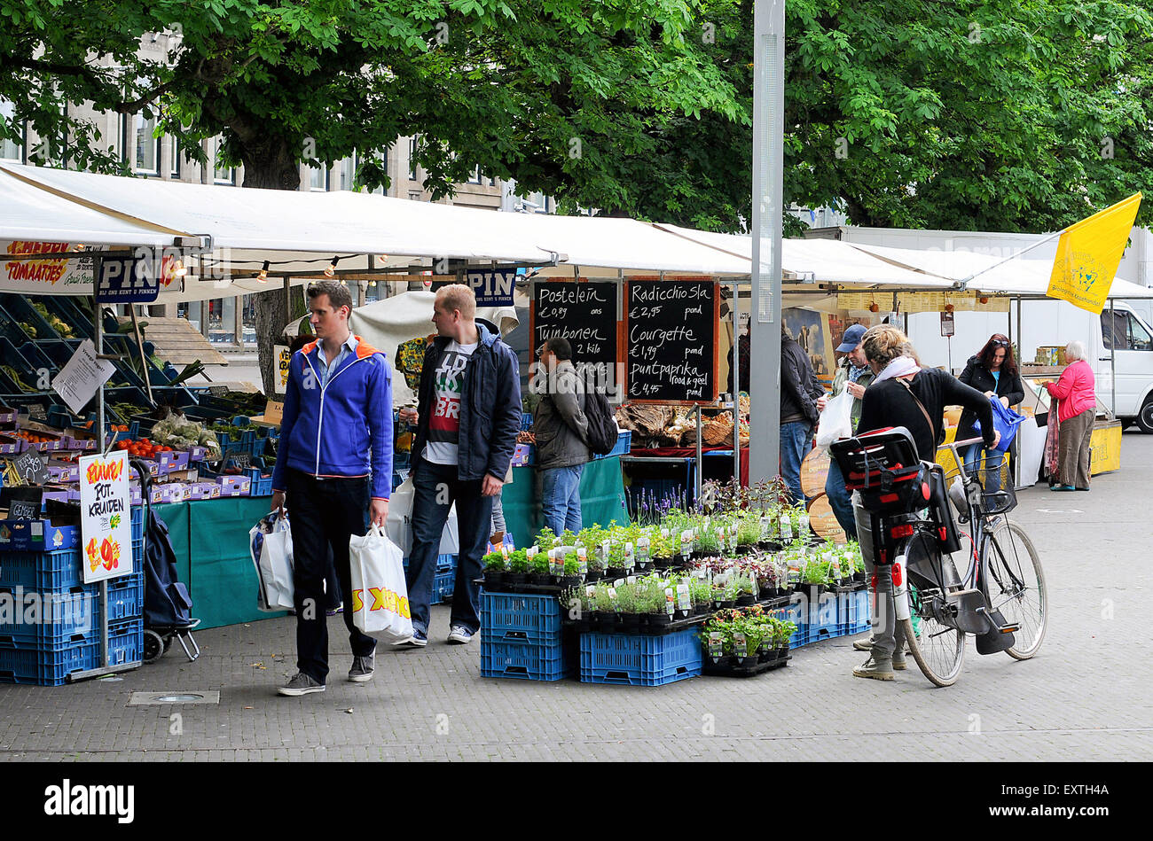 A lively farmer's market in Den Haag, The Netherlands Stock Photo - Alamy