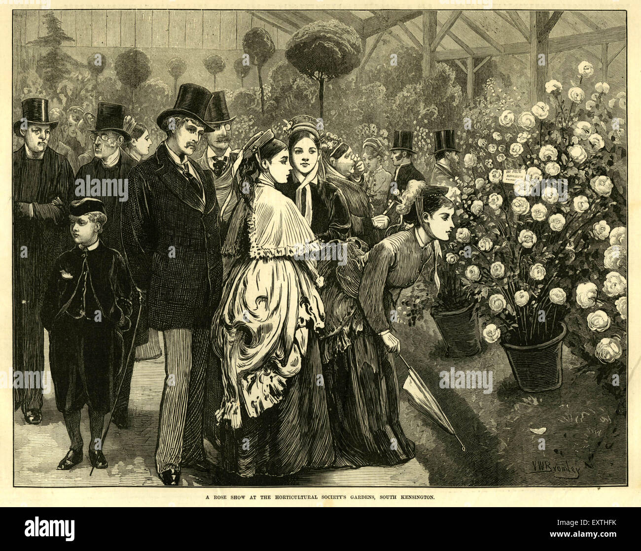 1870s UK Horticultural Society Flower Show Magazine Plate Stock Photo ...