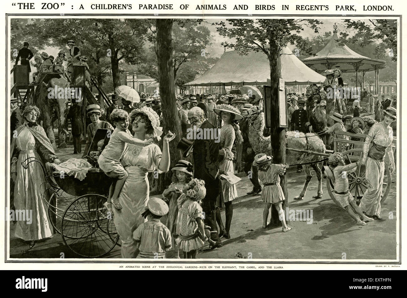 London zoo animals hi-res stock photography and images - Alamy