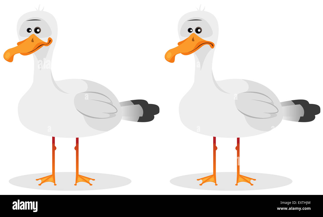 Illustration of a cartoon funny seagull beach bird character, in ...