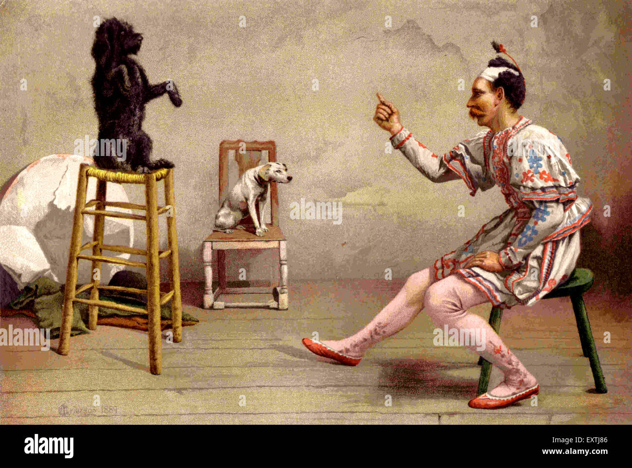 Circus dogs performing hi-res stock photography and images - Alamy