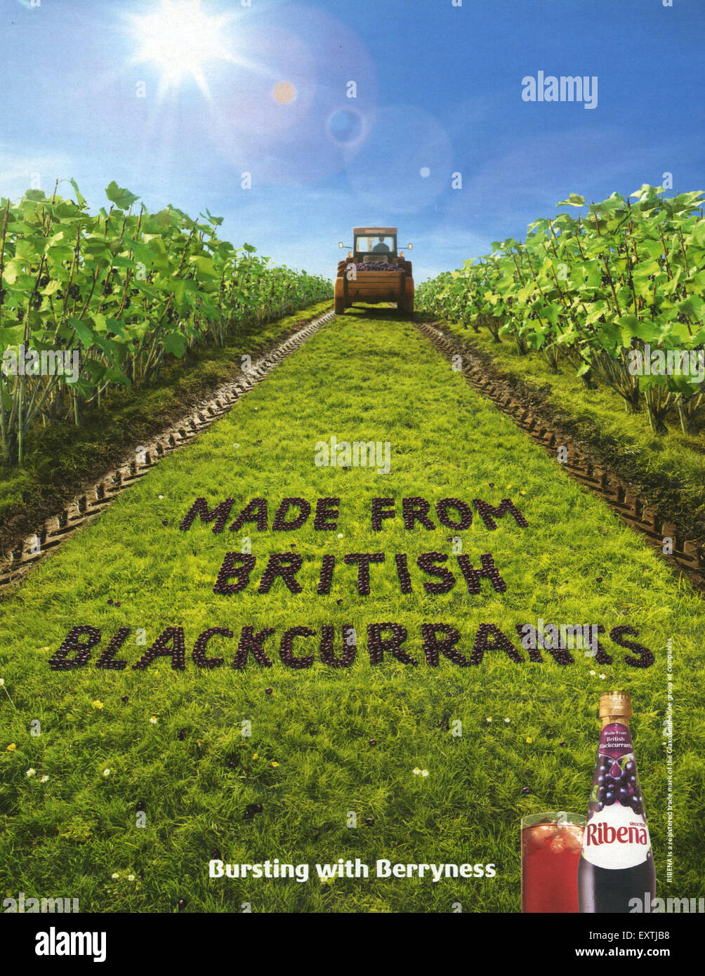 2010s UK Ribena Magazine Advert Stock Photo - Alamy