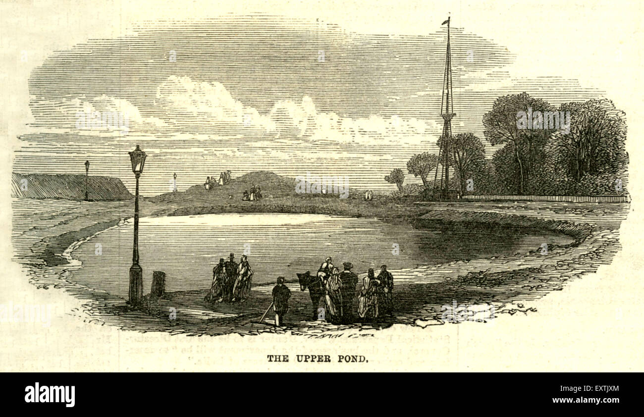 1870s UK Hampstead Heath Magazine Plate Stock Photo - Alamy