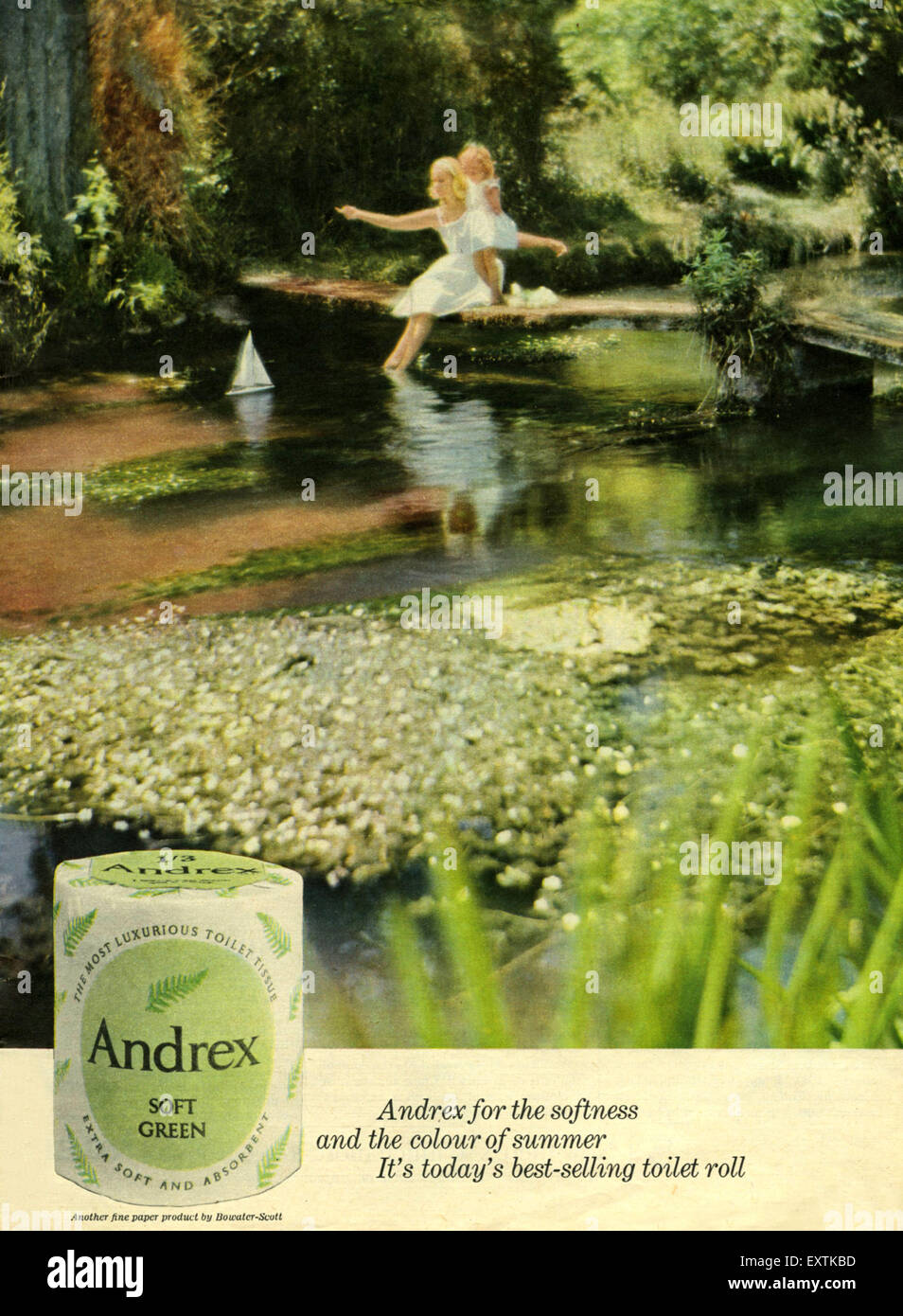 Paper andrex hi-res stock photography and images - Alamy