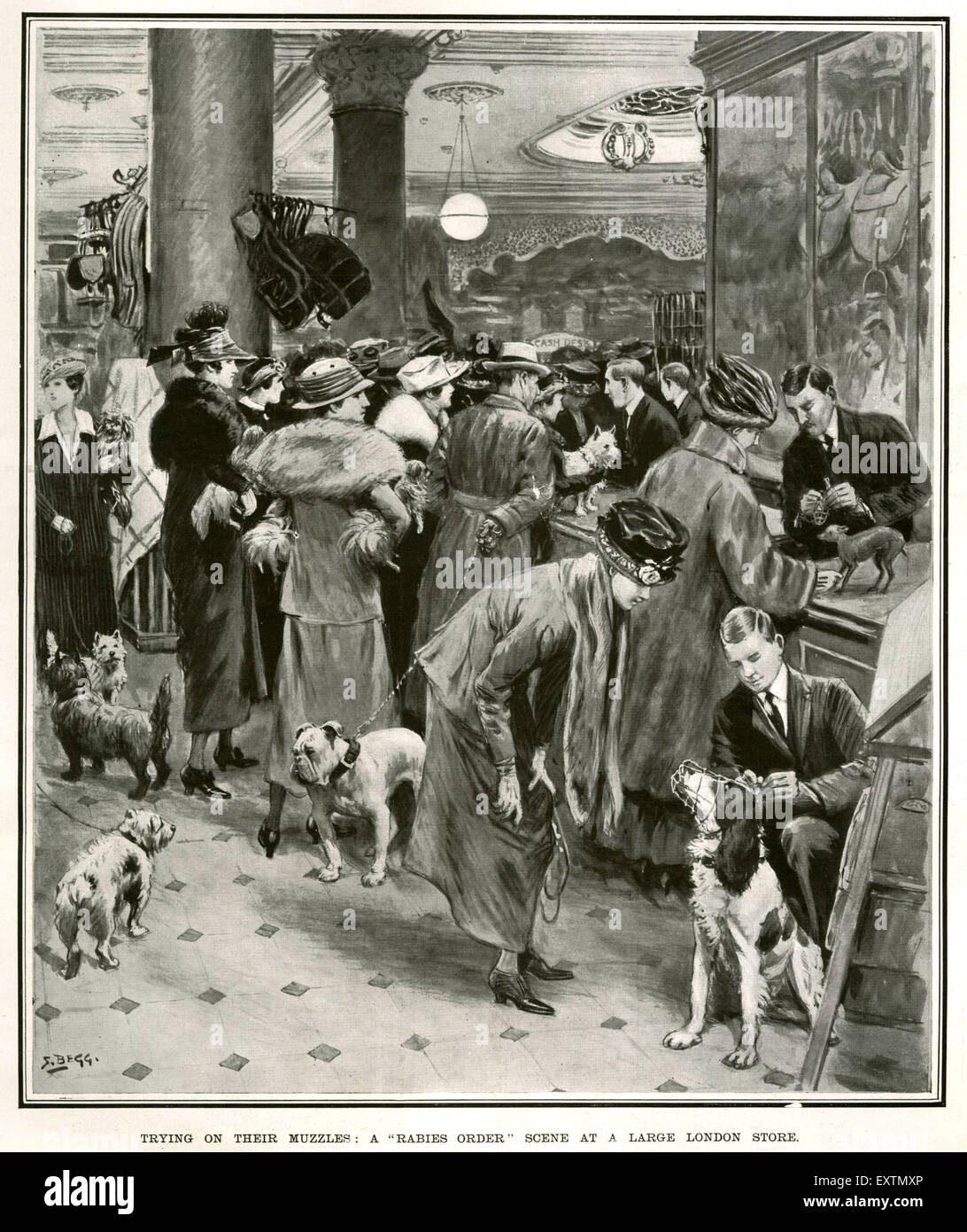 1910s UK Rabies Magazine Plate Stock Photo - Alamy