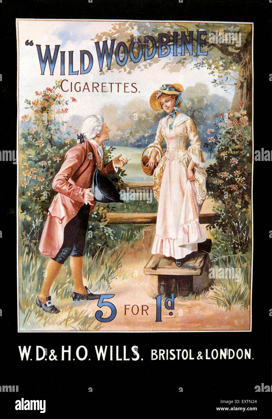 1900s UK Wild Woodbine Magazine Advert Stock Photo - Alamy