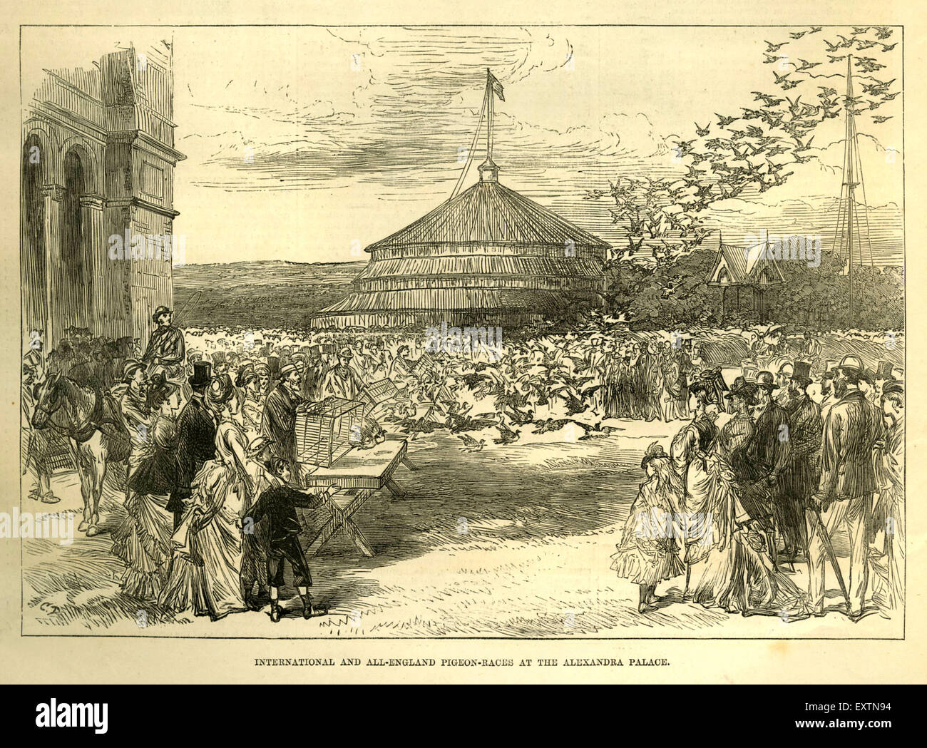 1870s UK Pigeon Races, Alexandra Palace Magazine Plate Stock Photo - Alamy