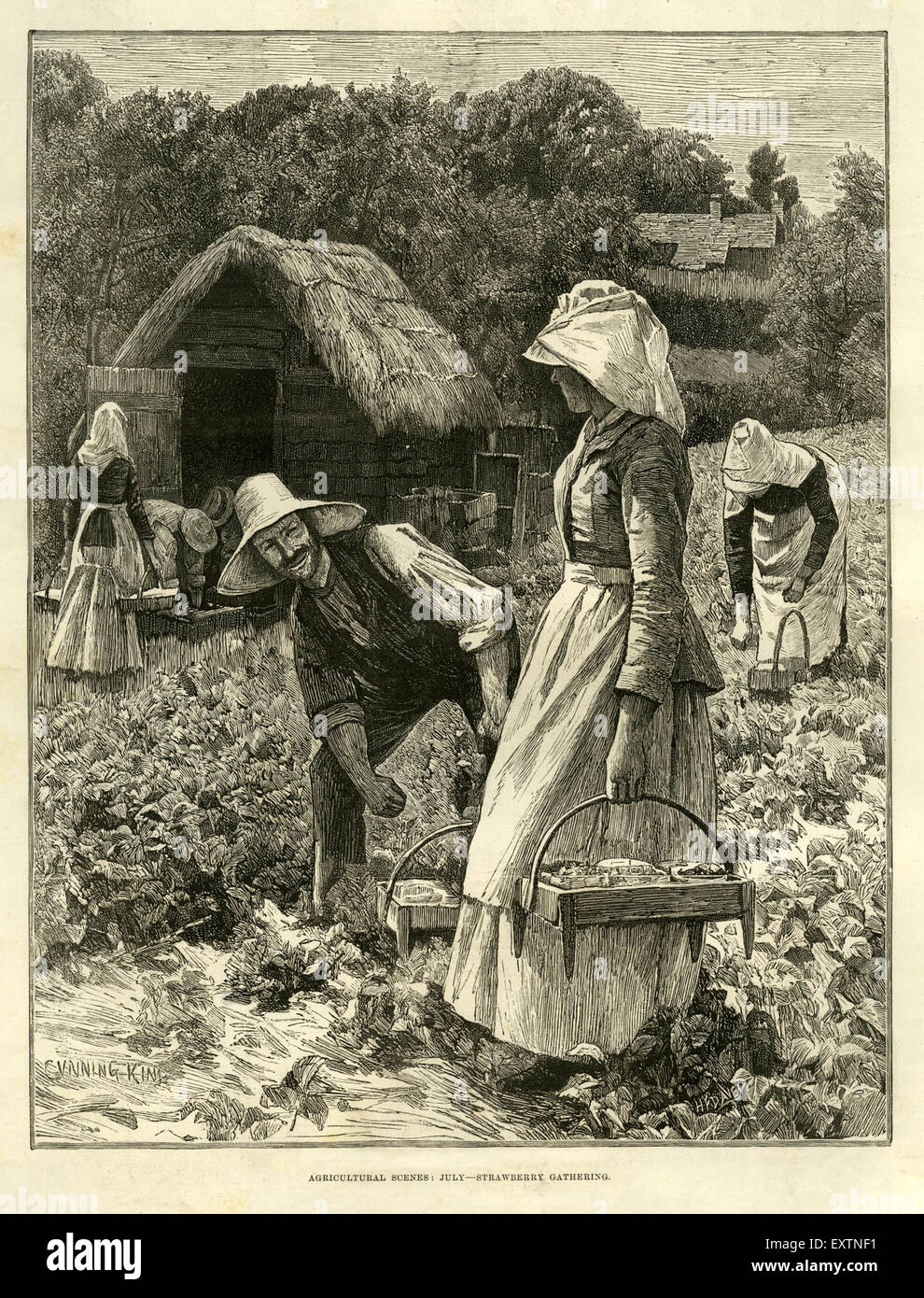 1880s UK Illustrated London News Magazine Plate Stock Photo - Alamy