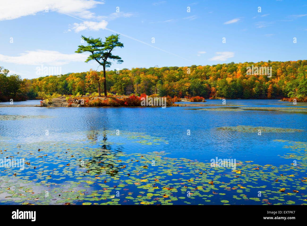 Fall landscape with the forest lake Stock Photo - Alamy