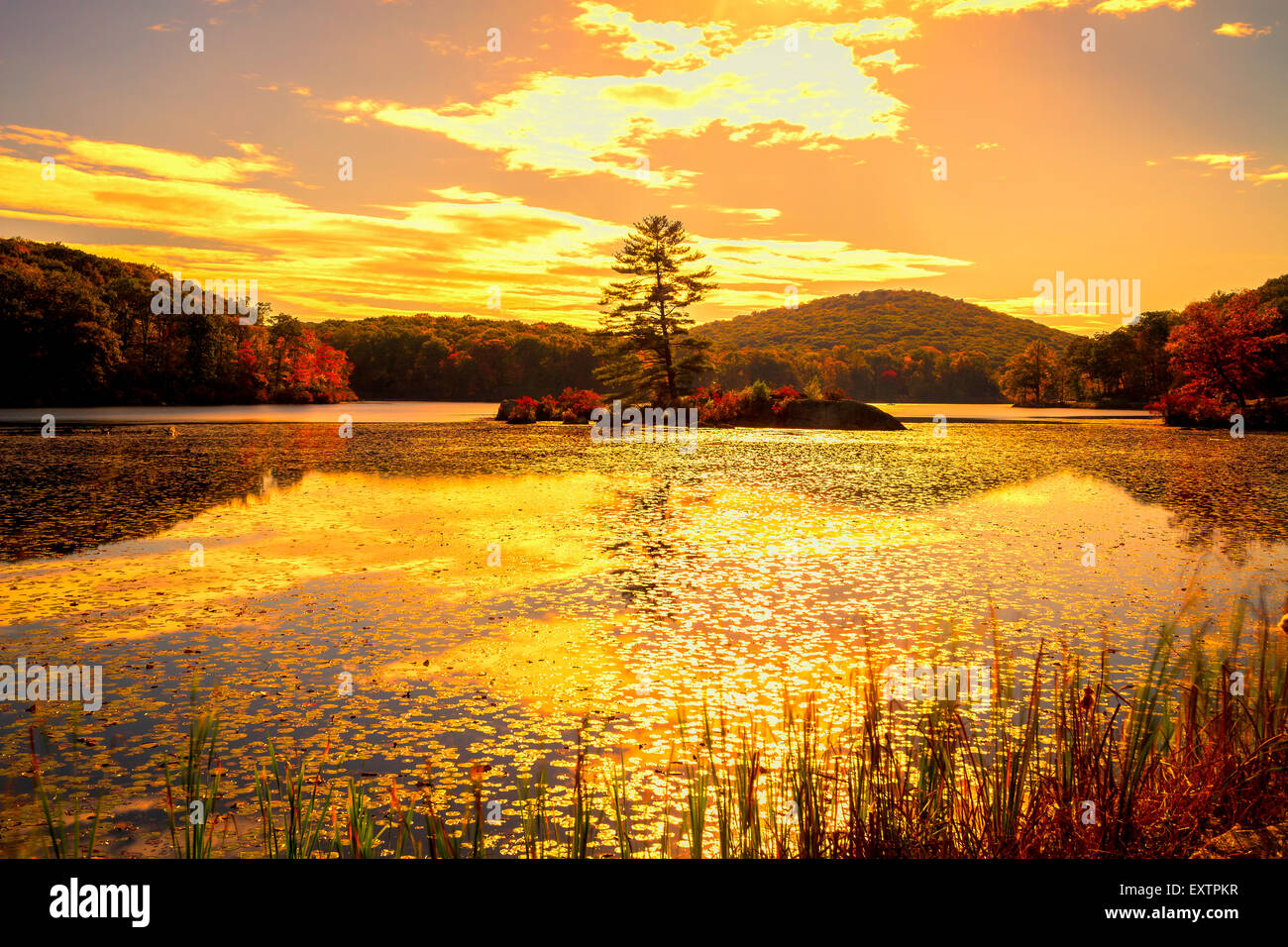 Fall landscape with the forest lake at sunset Stock Photo - Alamy
