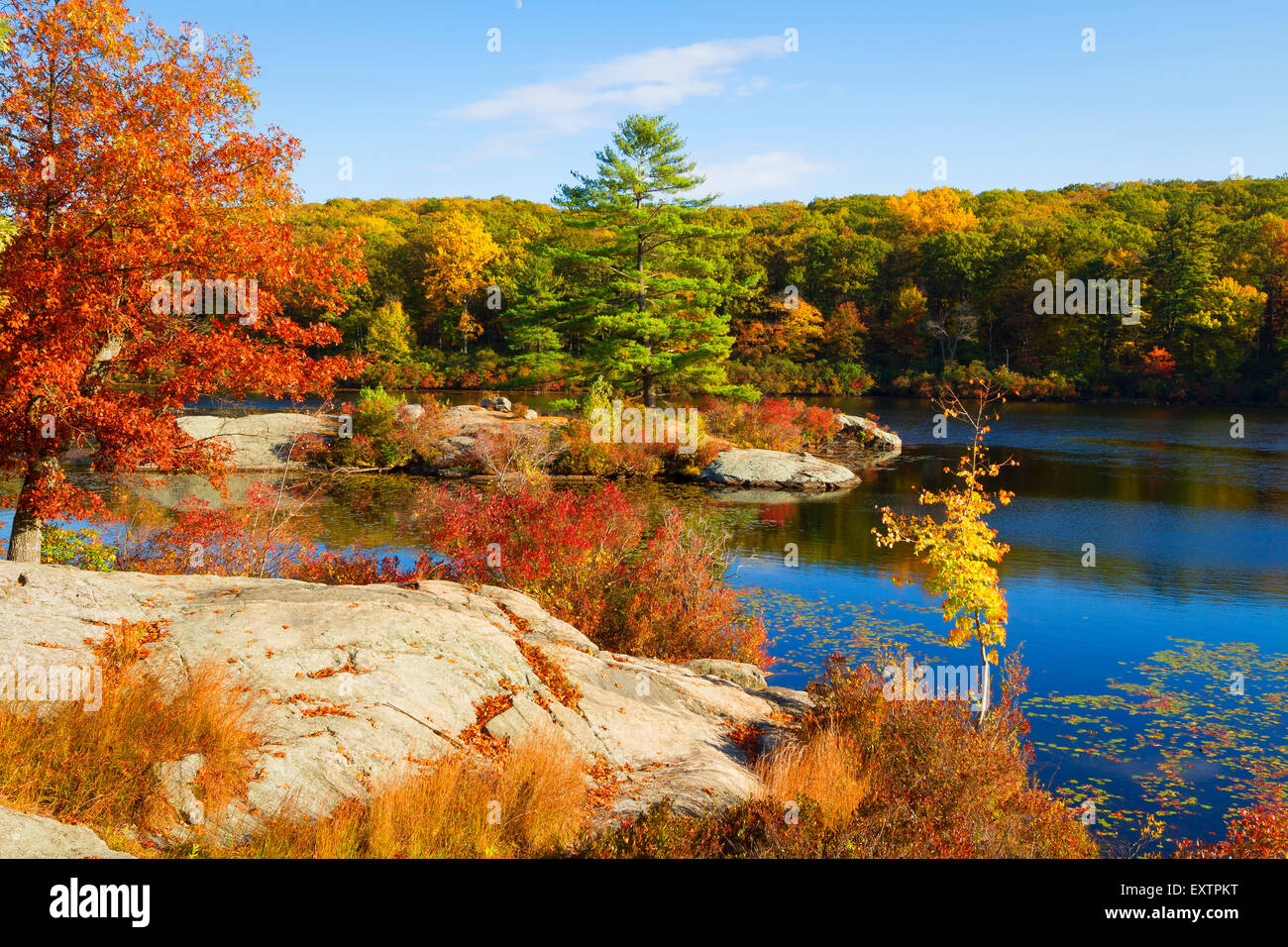 Fall landscape with the forest lake Stock Photo - Alamy