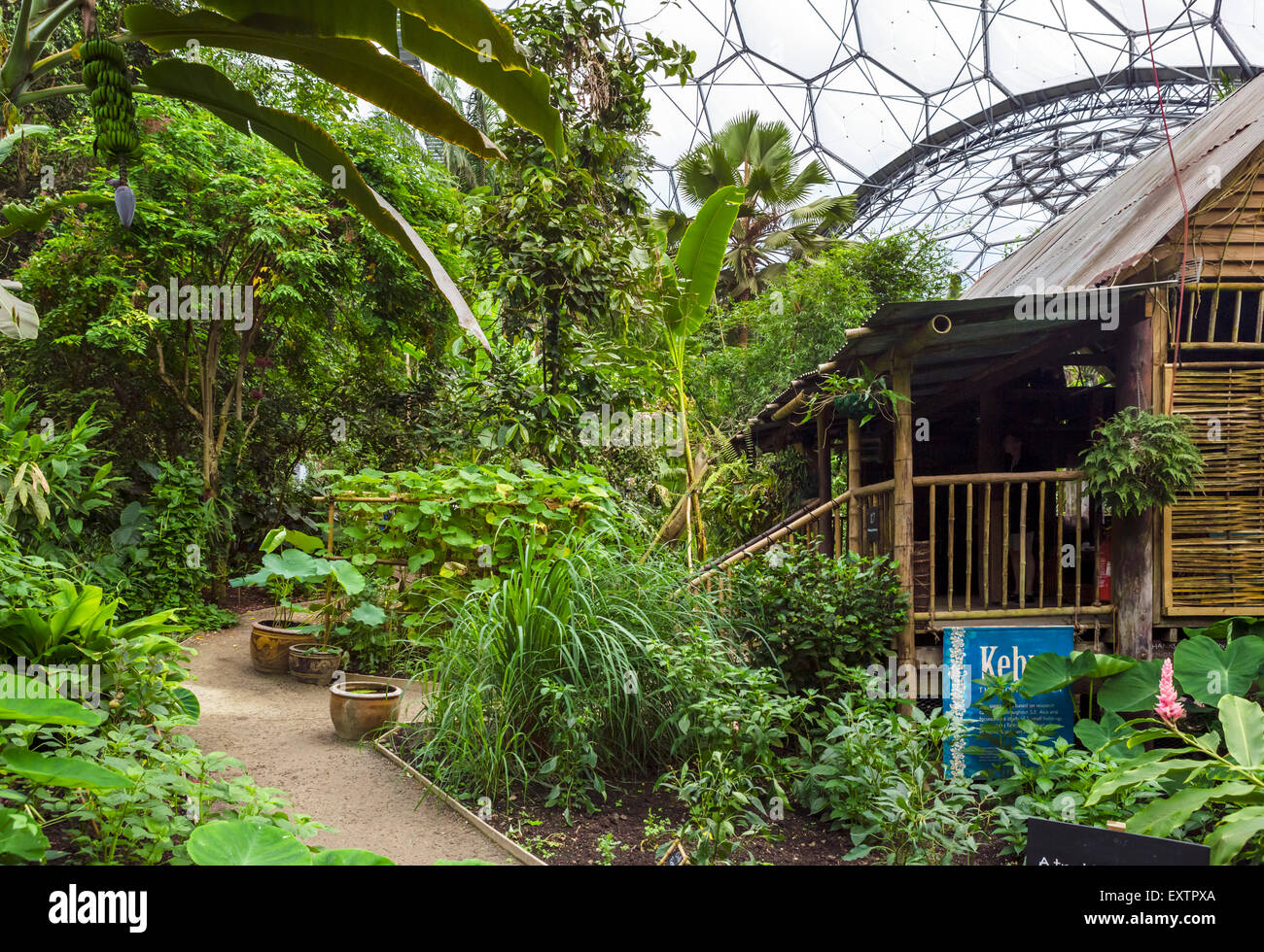 Eden project cornwall interior hi-res stock photography and images - Alamy