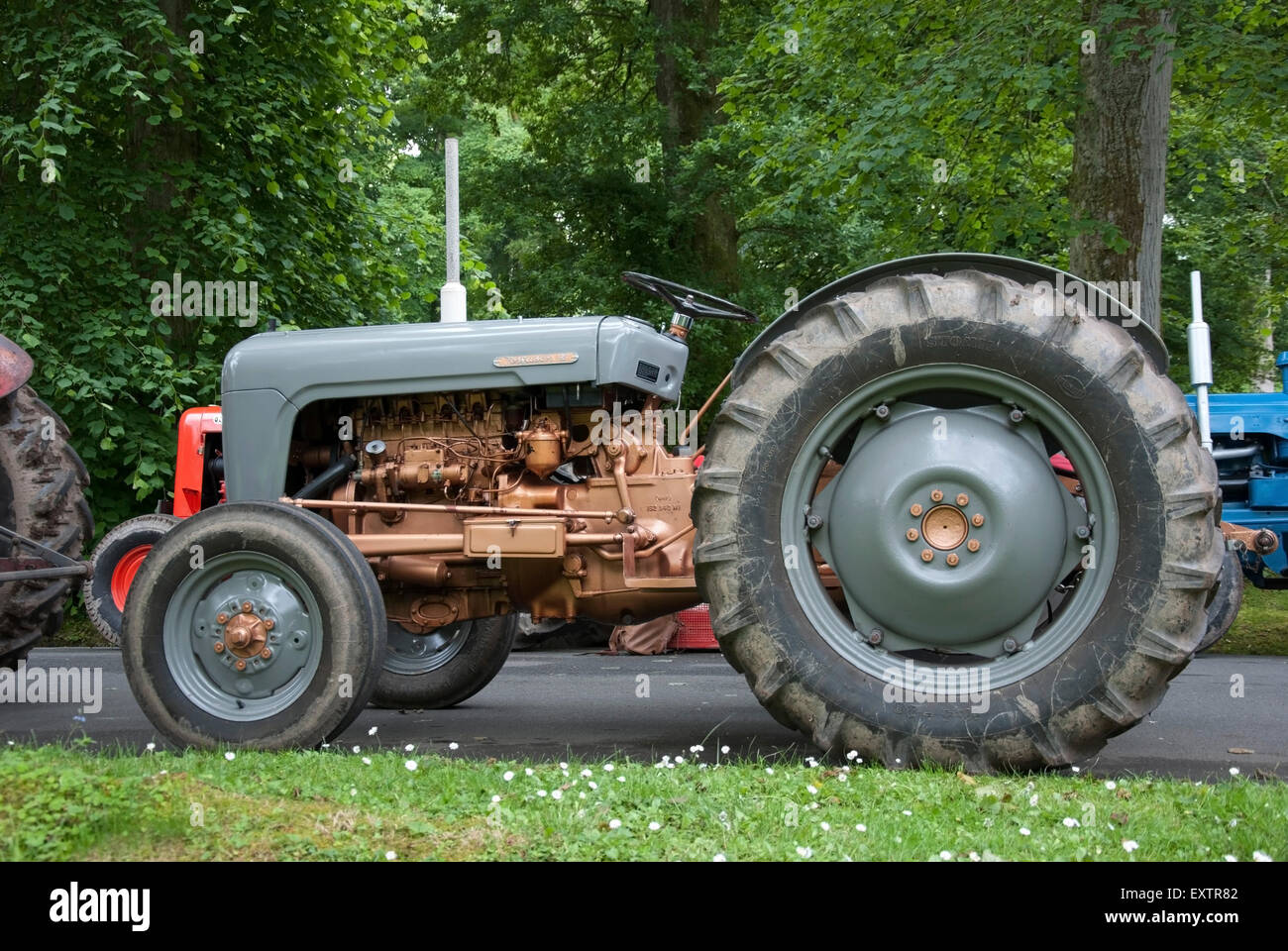 1950's Grey Gold Belly Ferguson 35 Vintage Farm Tractor Stock Photo - Alamy