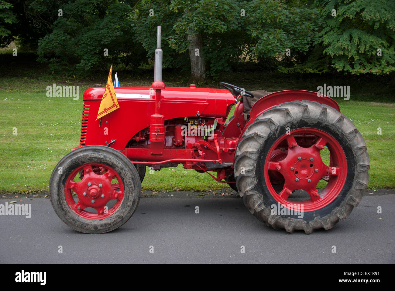 1955 Red David Brown 30D Series Vintage Tractor Stock Photo - Alamy