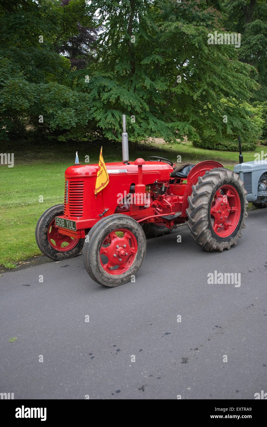 1955 Red David Brown 30D Series Vintage Tractor Stock Photo - Alamy