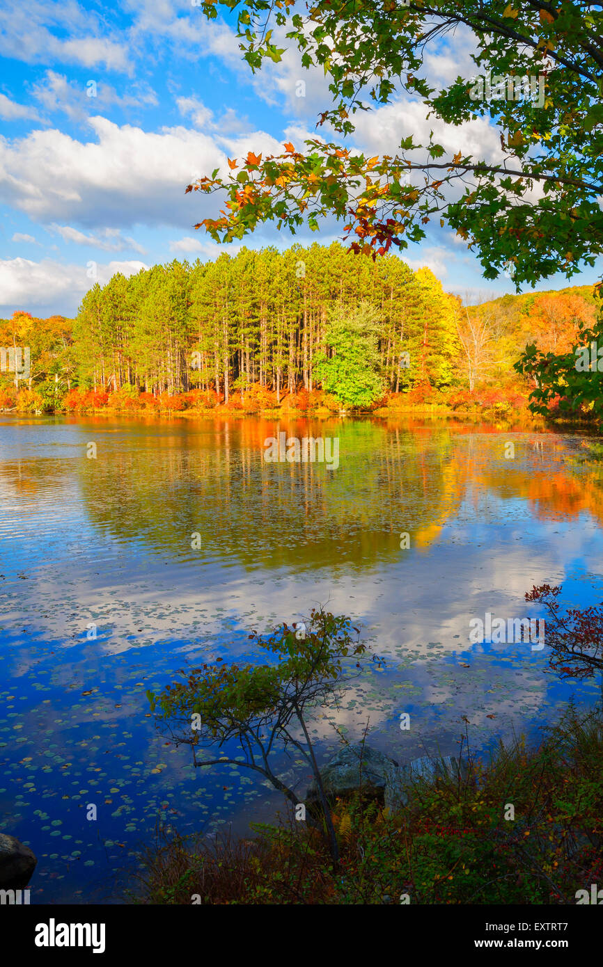 Fall landscape with the forest lake Stock Photo - Alamy