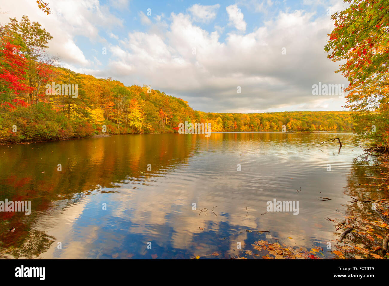 Fall landscape with the forest lake Stock Photo - Alamy
