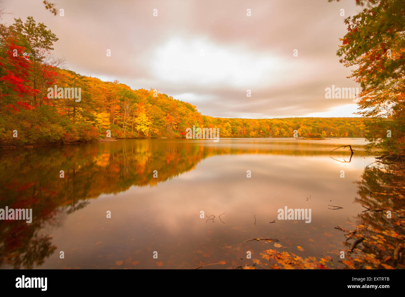 Fall landscape with the forest lake Stock Photo - Alamy