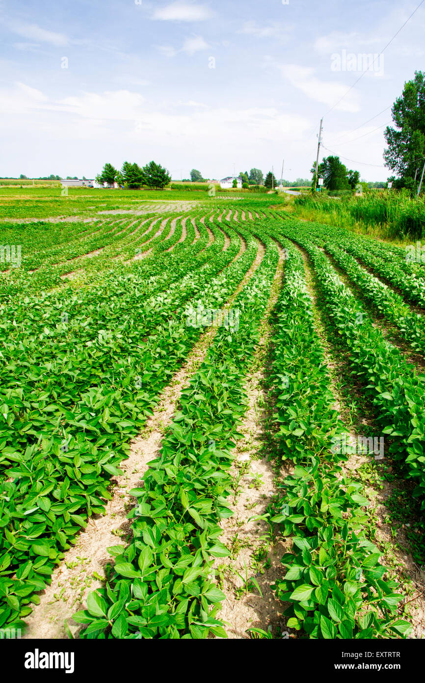 View of the farmland fields Stock Photo - Alamy