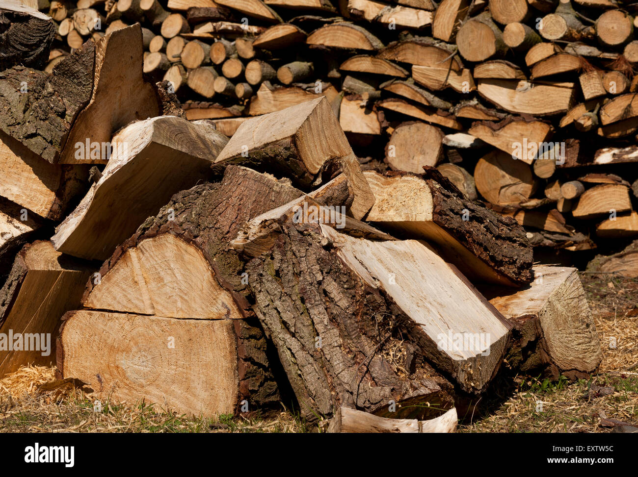 Chopped tree logs stacked hi-res stock photography and images - Alamy