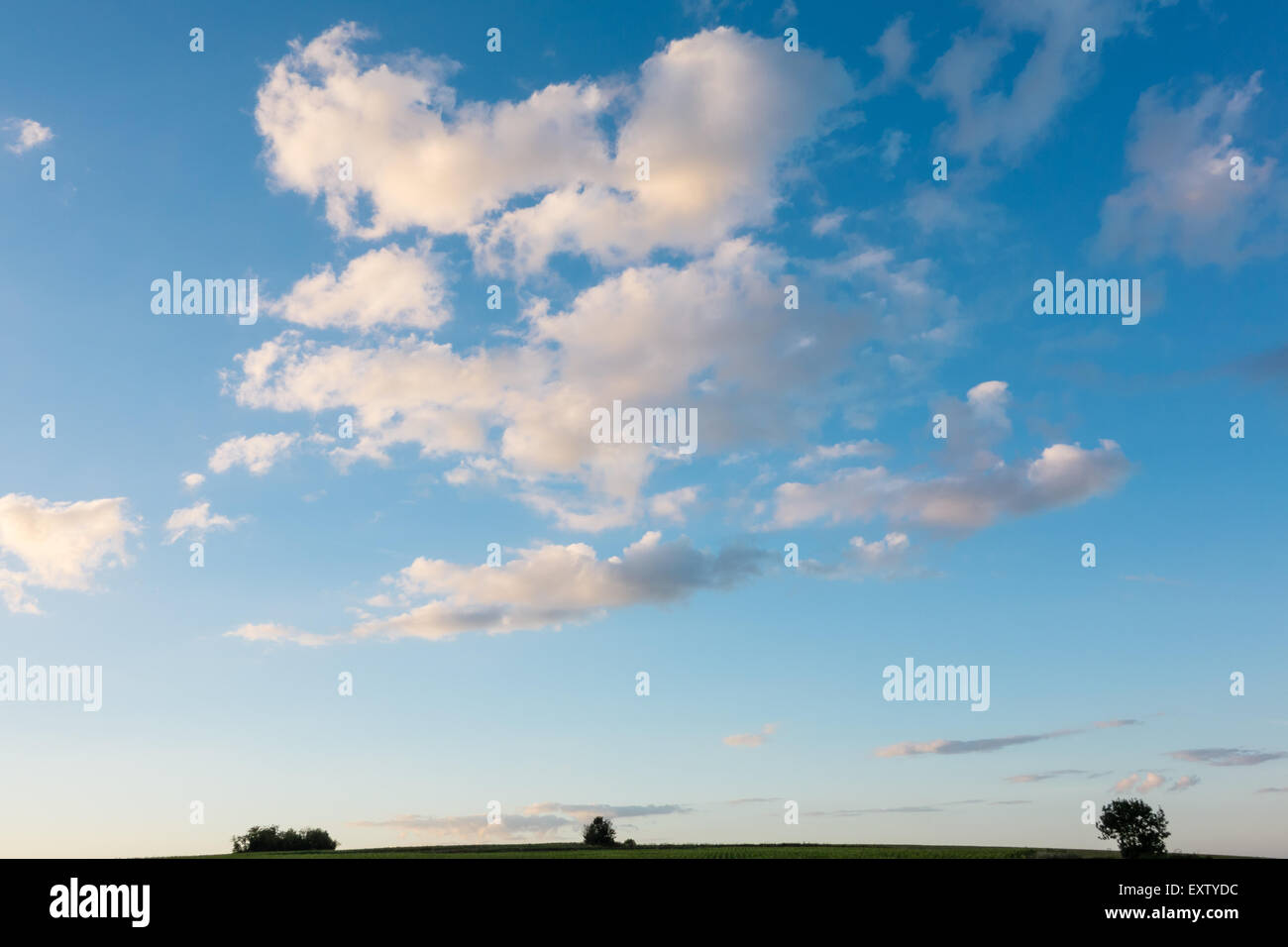Large sky with clouds over trees Stock Photo - Alamy