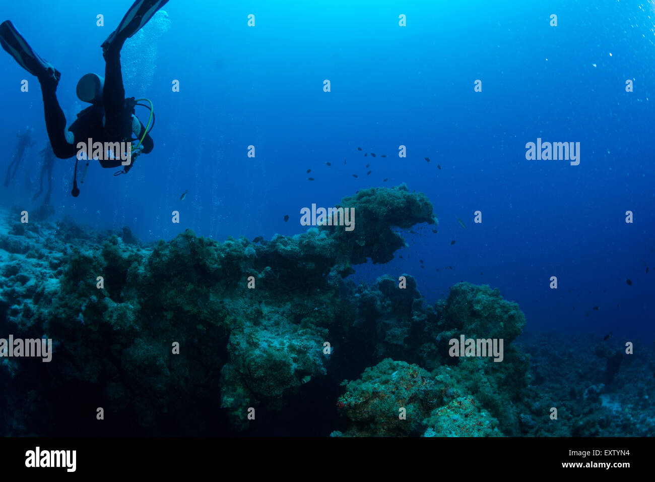 Reaf view hi-res stock photography and images - Alamy