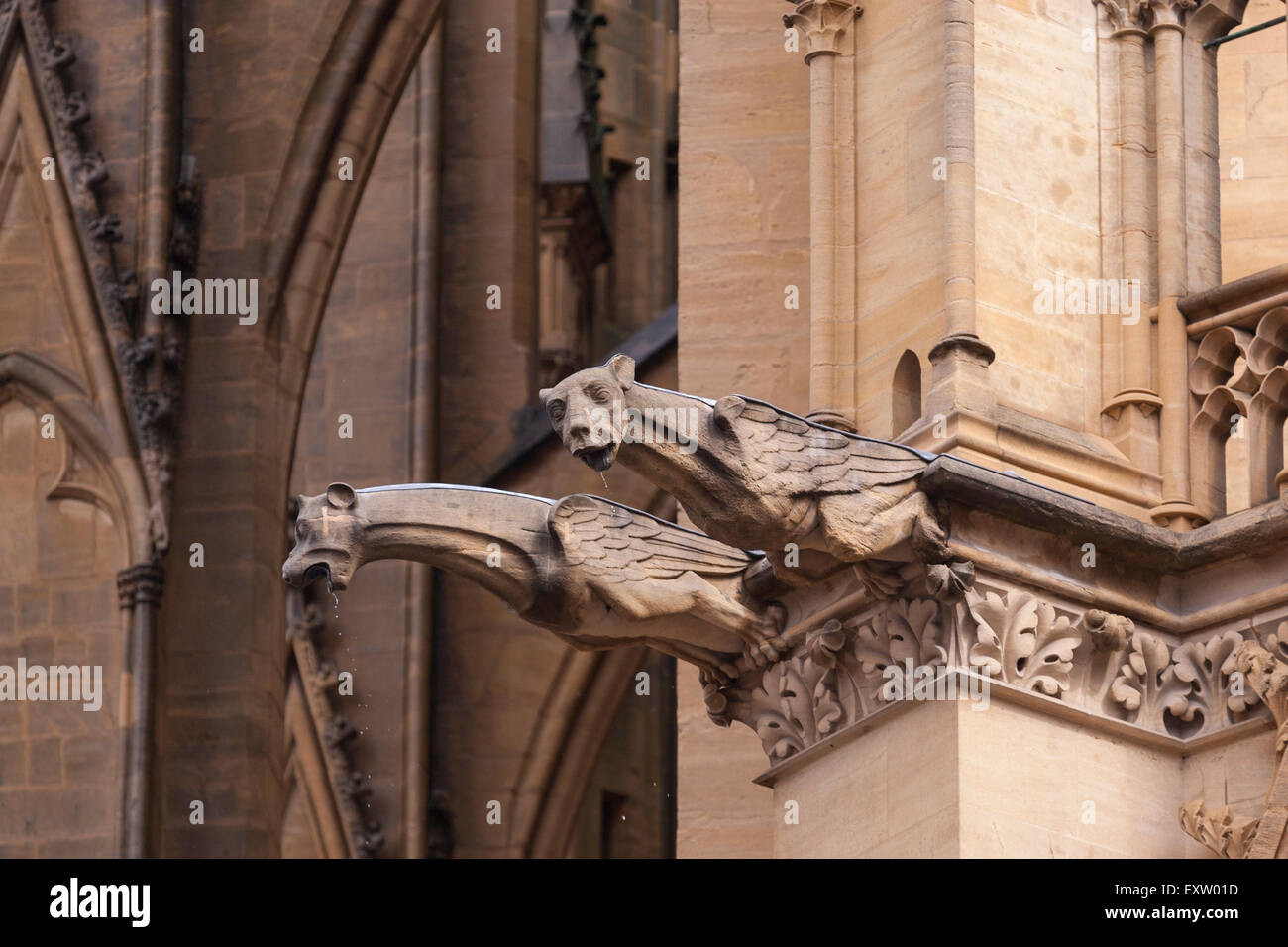 Gargoyles pouring water in Metz Cathedral, Metz, Lorraine, France Stock ...