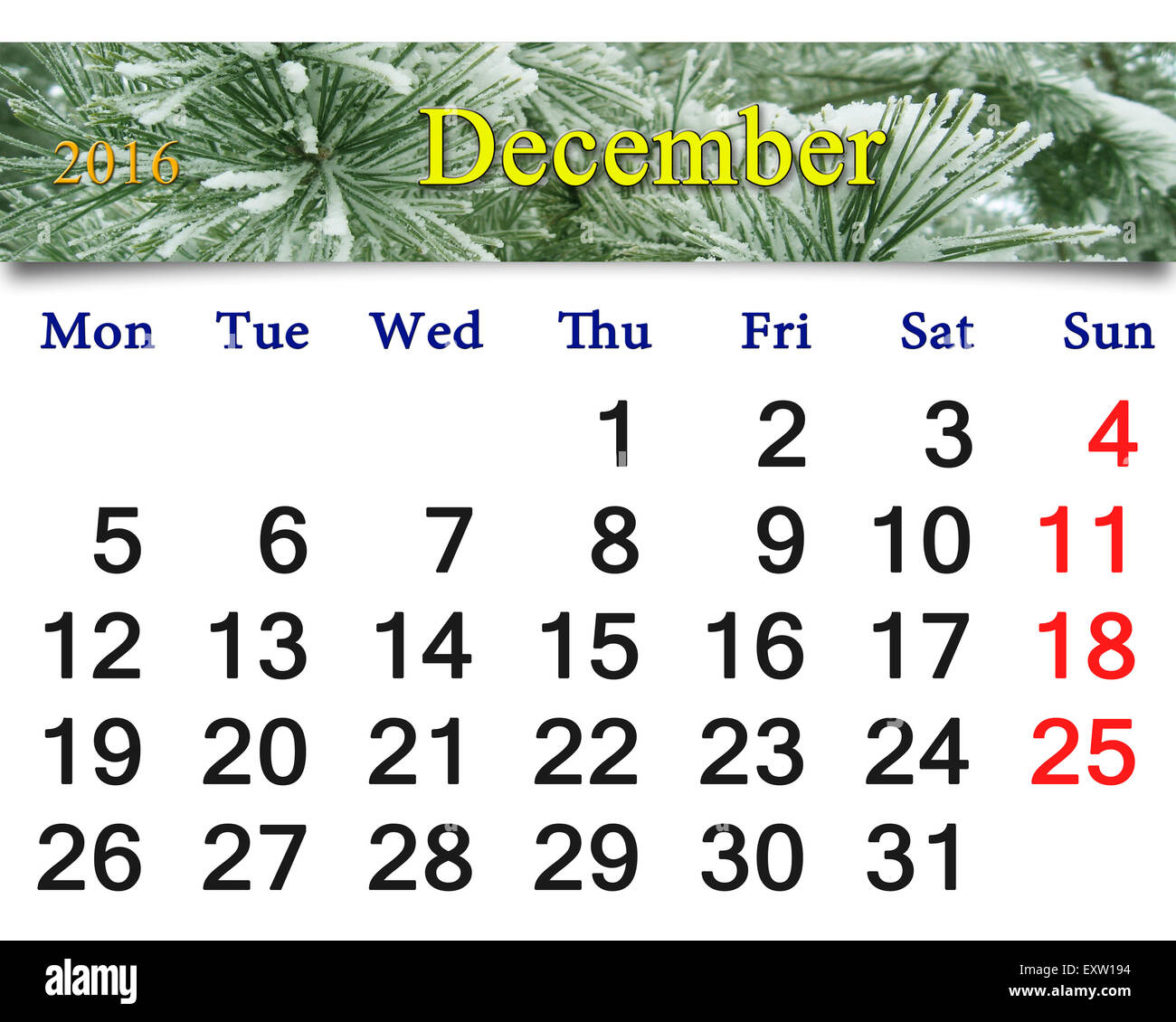 beautiful calendar for December 2016 with the ribbon of evergreen ...