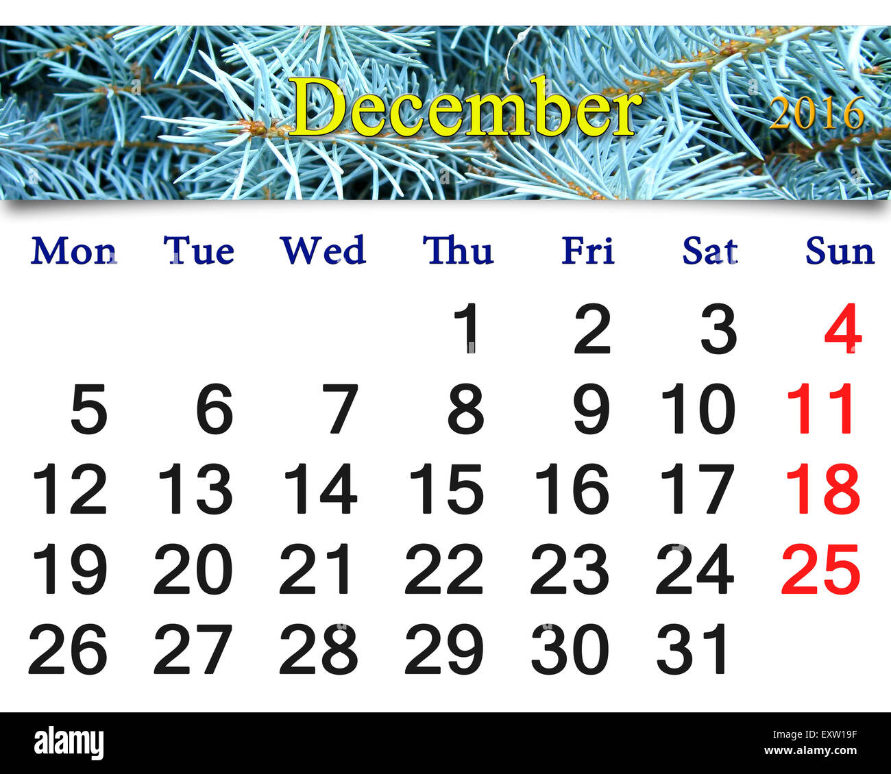 beautiful calendar for December 2016 with the ribbon of evergreen ...