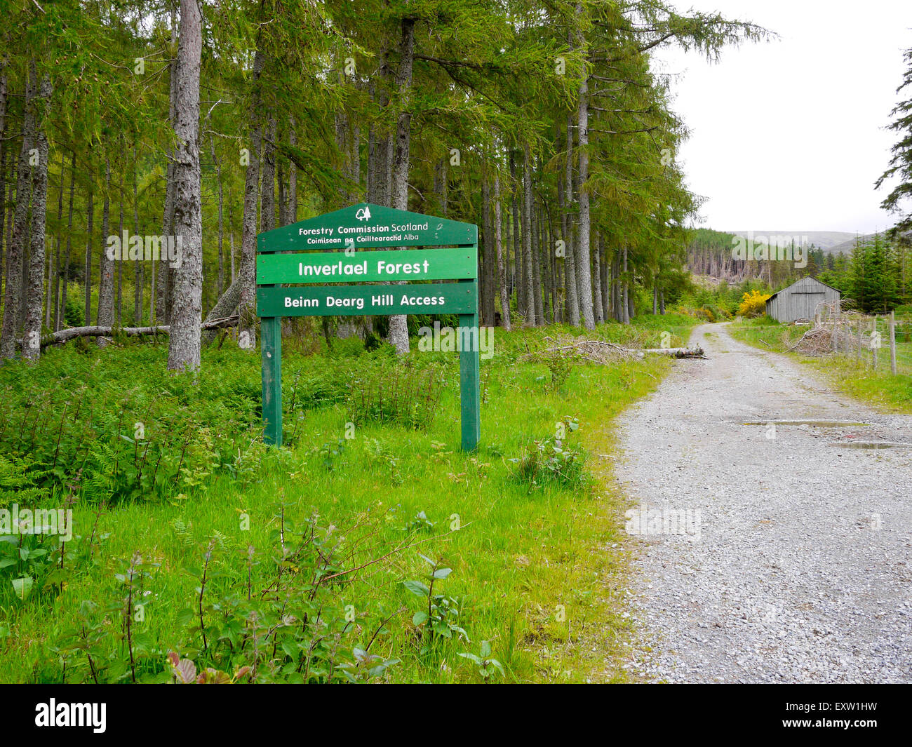 Forestry commission sign hi-res stock photography and images - Alamy