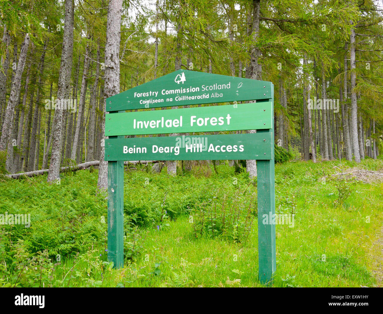 Forestry Commission sign for Inverlael Forest, Ross-Shire, Scotland, UK ...