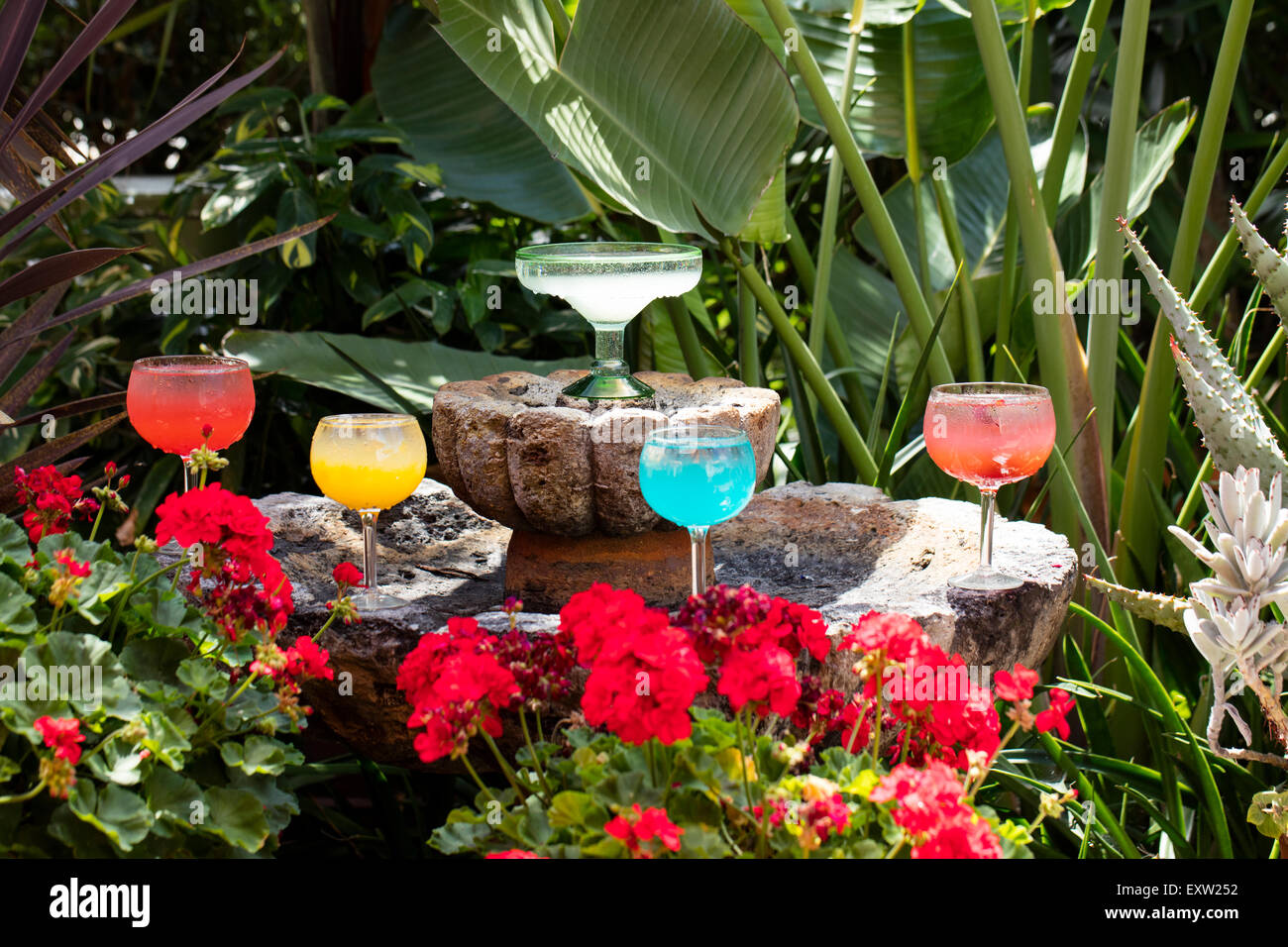 Margaritas cocktails hi-res stock photography and images - Alamy