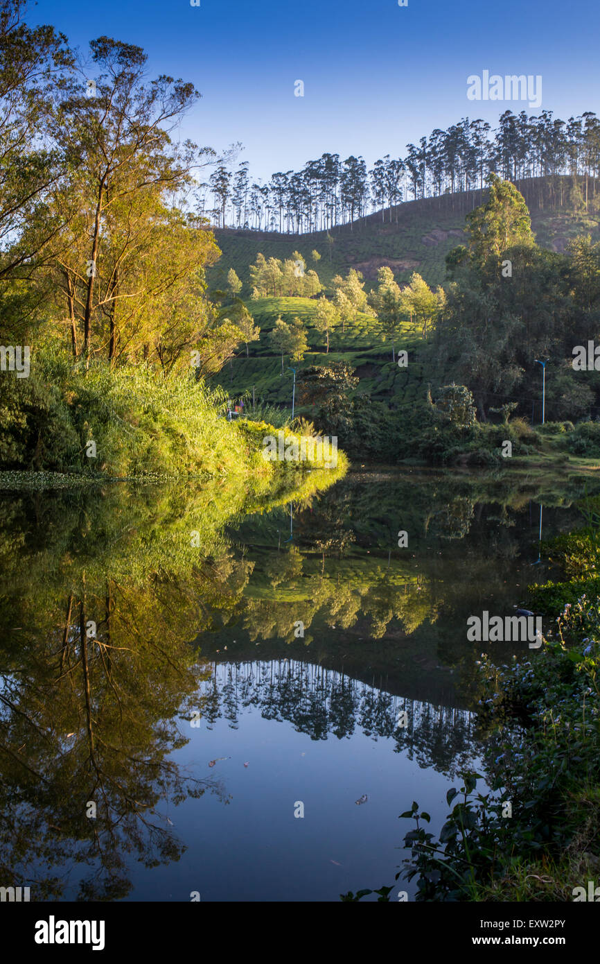 Fall tree over lake hi-res stock photography and images - Alamy