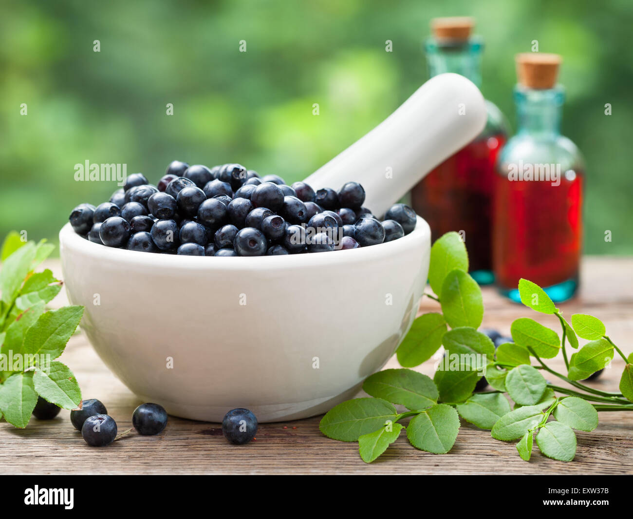 Bitter berry hi-res stock photography and images - Alamy