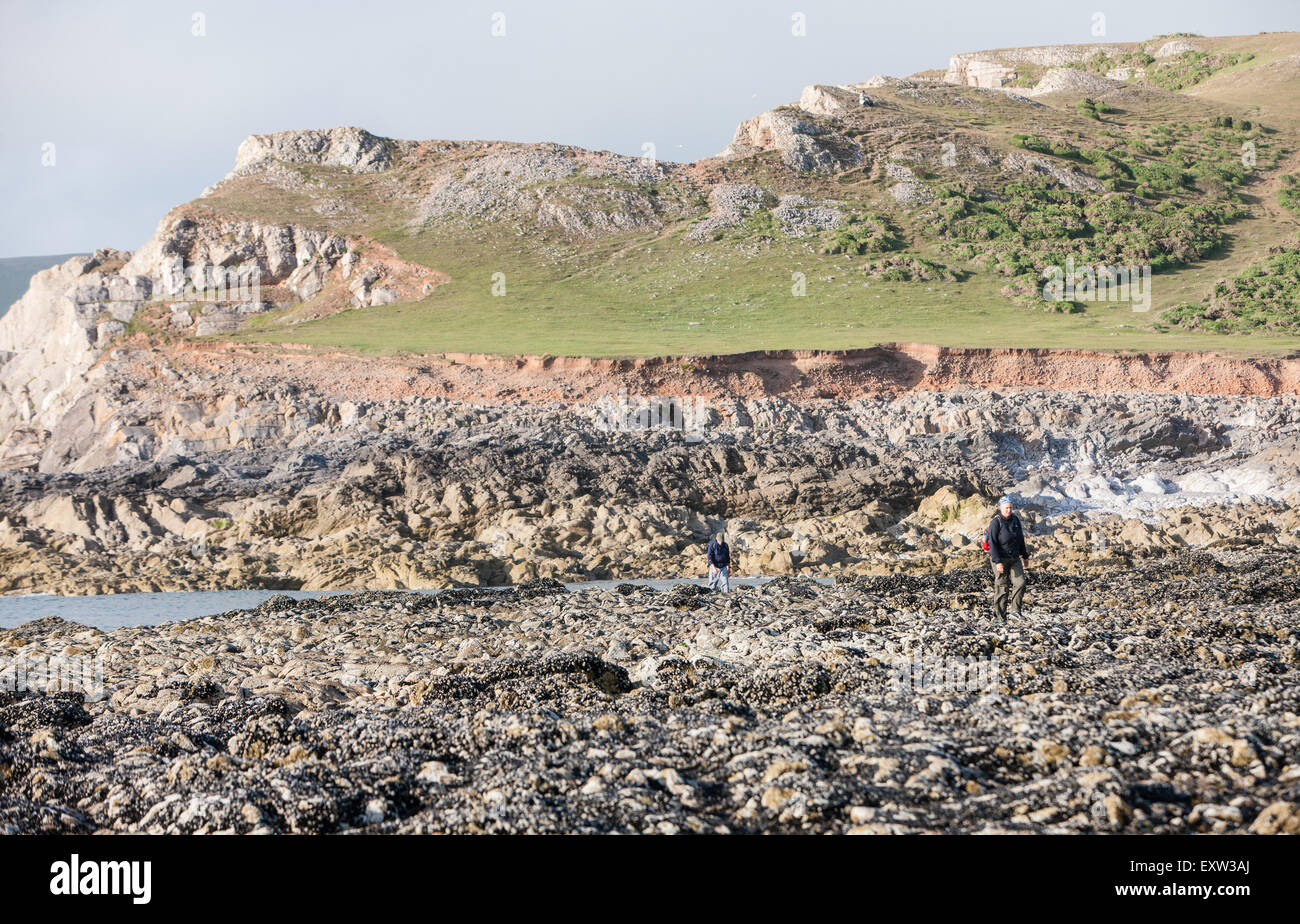 At low tide hiker hiking over causeway over to Worms Head,Gower ...