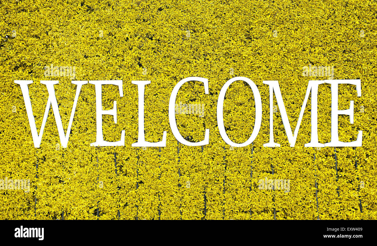 white welcome word on exotic yellow color background Stock Photo - Alamy