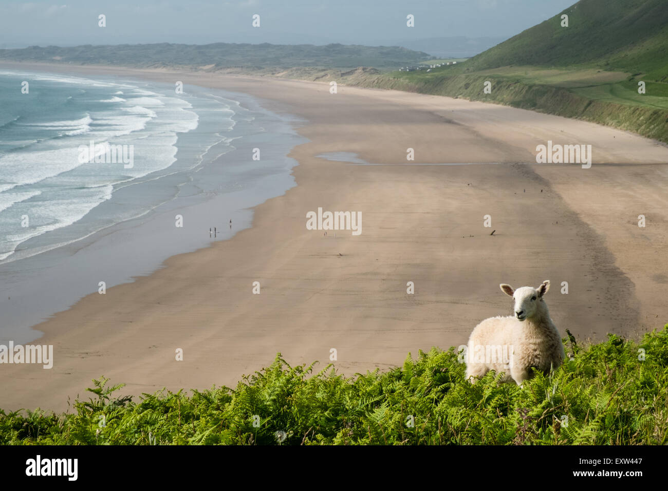 Rhossilli Beach High Resolution Stock Photography and Images - Alamy